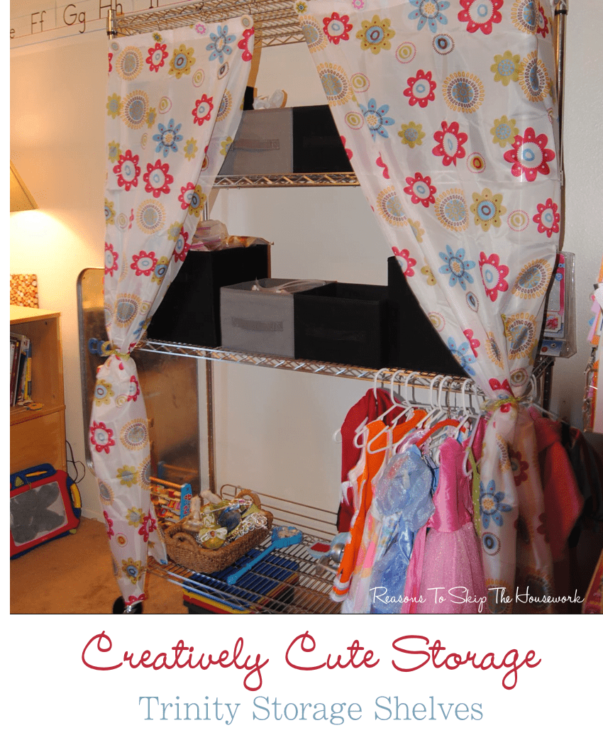 Trinity Storage1 – REASONS TO SKIP THE HOUSEWORK