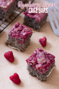 Raspberry Swirl Cake Bars – REASONS TO SKIP THE HOUSEWORK