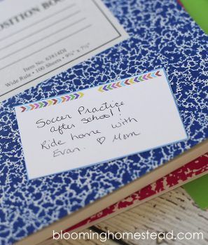Printable School Notes – REASONS TO SKIP THE HOUSEWORK