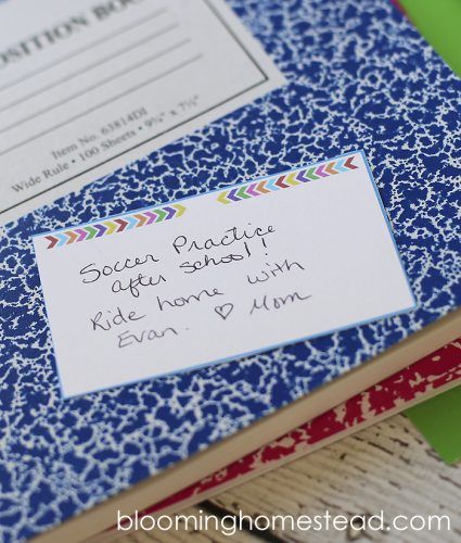Printable School Notes – REASONS TO SKIP THE HOUSEWORK