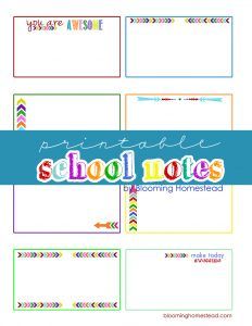 Printable School Notes – REASONS TO SKIP THE HOUSEWORK