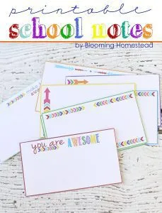 Printable School Notes – REASONS TO SKIP THE HOUSEWORK