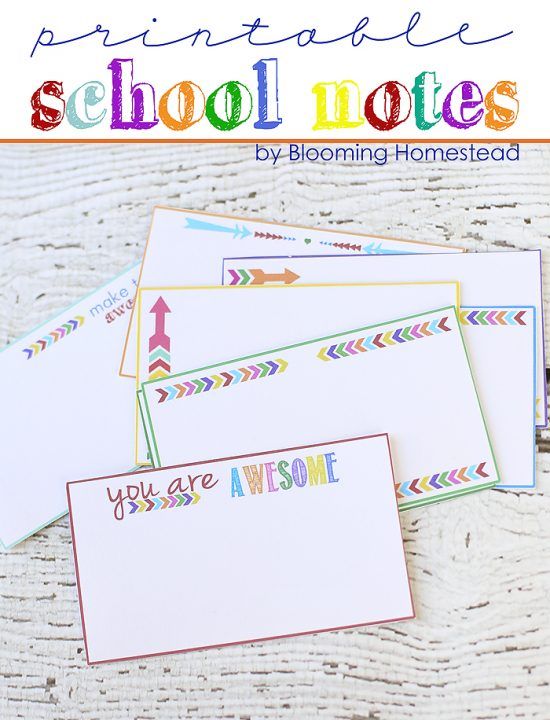 Printable School Notes – REASONS TO SKIP THE HOUSEWORK