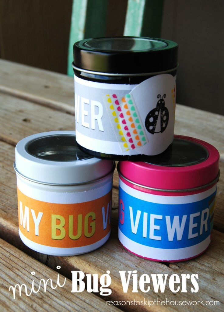 DIY Bug Viewing Jars – REASONS TO SKIP THE HOUSEWORK