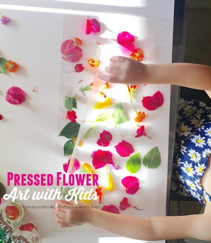 Pressed Flower Art With Kids