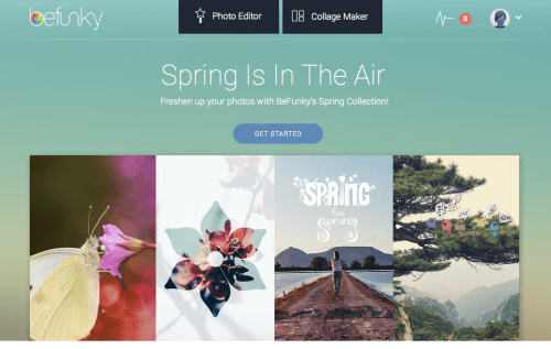 BeFunky Photo Editor – REASONS TO SKIP THE HOUSEWORK