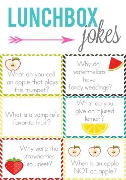 Lunchbox Organization Ideas – REASONS TO SKIP THE HOUSEWORK