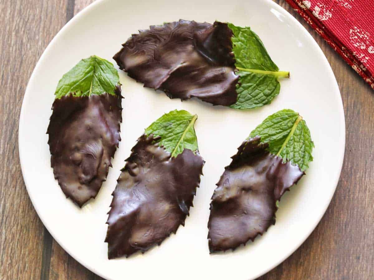 15 Mint Chocolate Recipes to Make in No Time – REASONS TO SKIP THE ...